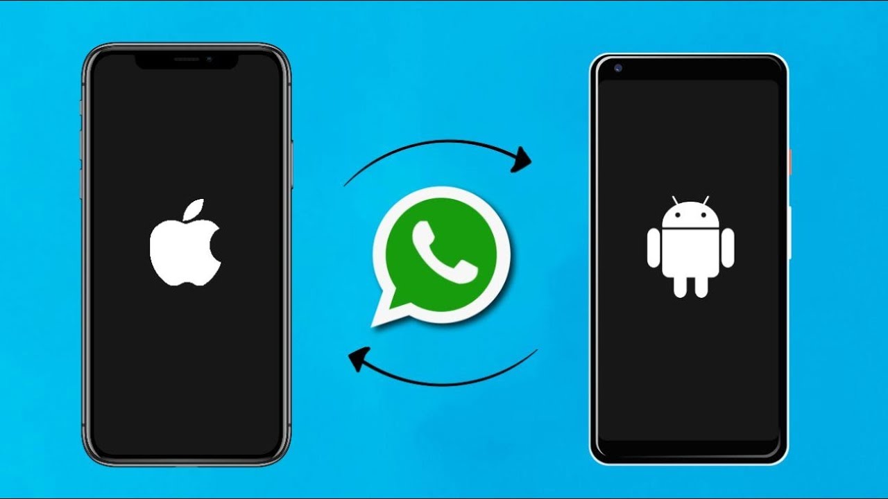 How To Transfer WhatsApp Data From Android To IOS Cashify Blog How To Transfer WhatsApp Data From Android To IOS Cashify Blog