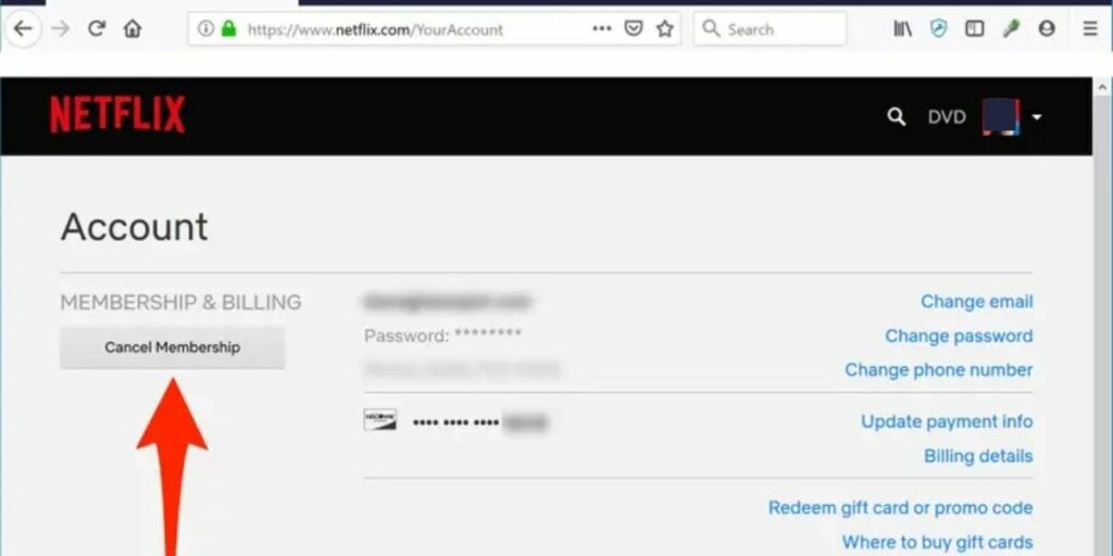 Netflix Subscription Plans In India Explained | Cashify Blog