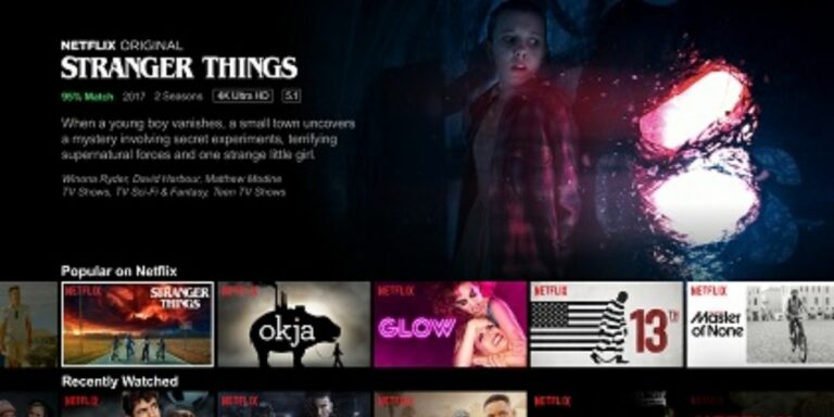 Netflix Subscription Plans In India Explained | Cashify Blog
