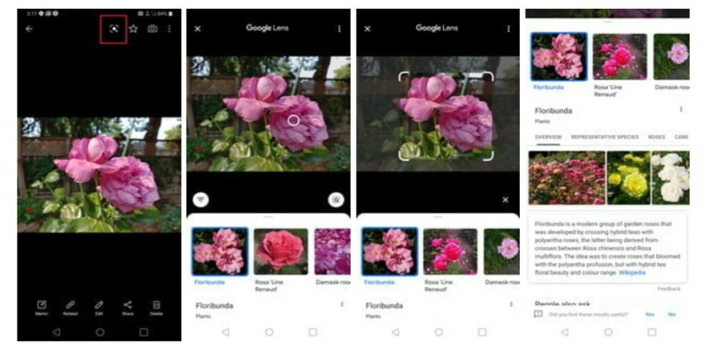 How To Do A Reverse Image Search on Android and iOS | Cashify Blog