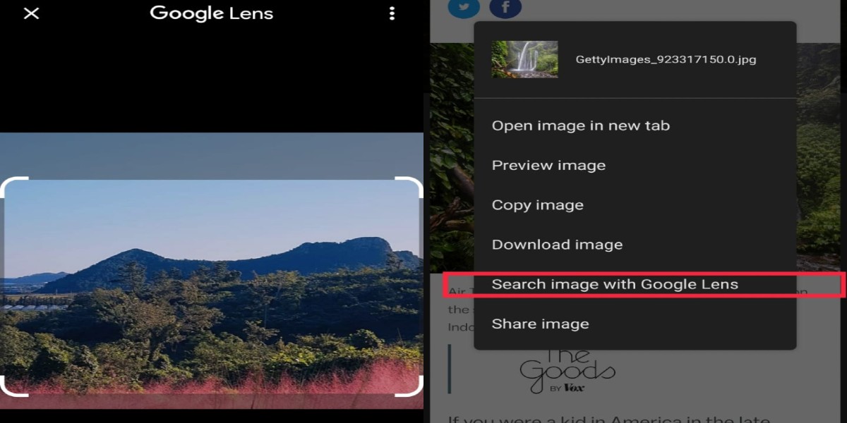 How To Do A Reverse Image Search on Android and iOS | Cashify Blog