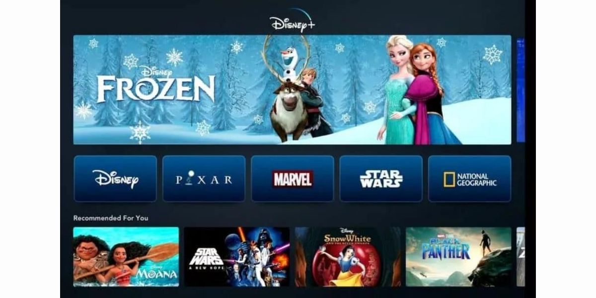 Disney Plus: Price, Shows, And How To Availability | Cashify Blog