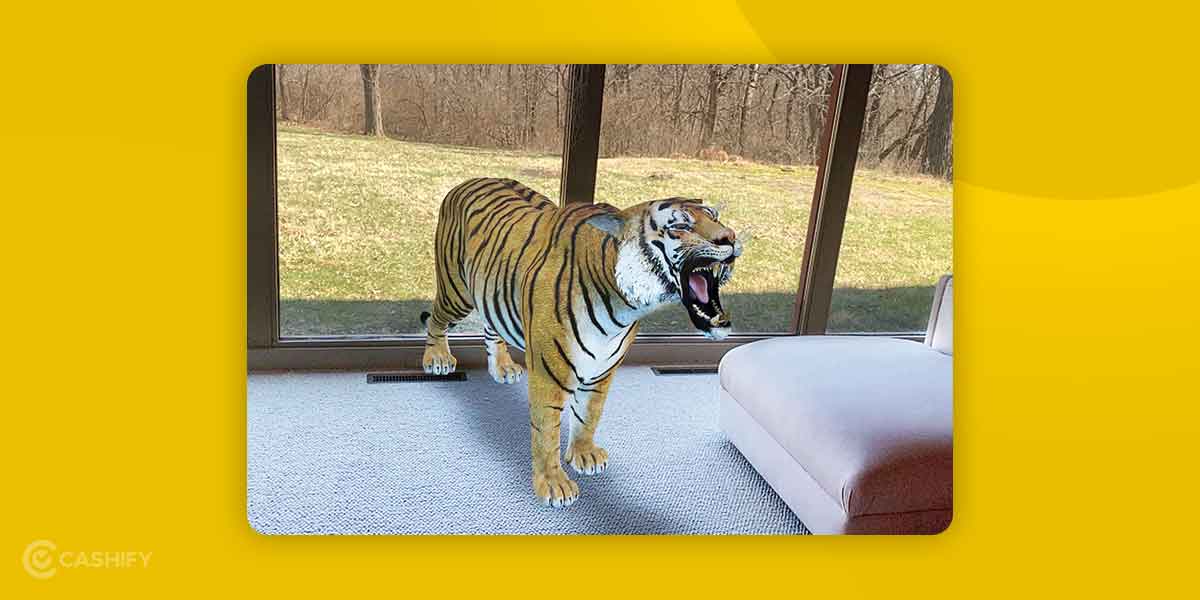 How to Witness 3D & Augmented Reality via Google's 3D Animals | Cashify ...