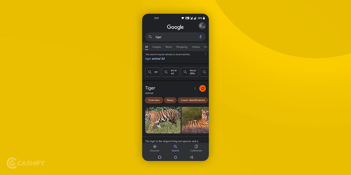 How to Witness 3D & Augmented Reality via Google's 3D Animals | Cashify ...