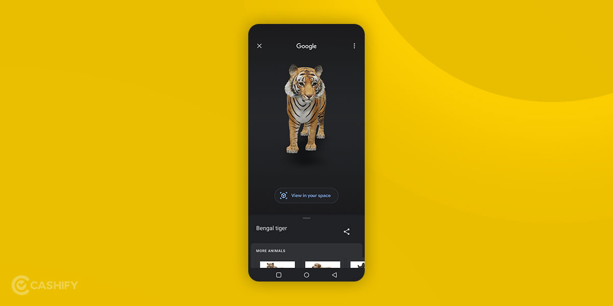 How to Witness 3D & Augmented Reality via Google's 3D Animals | Cashify ...