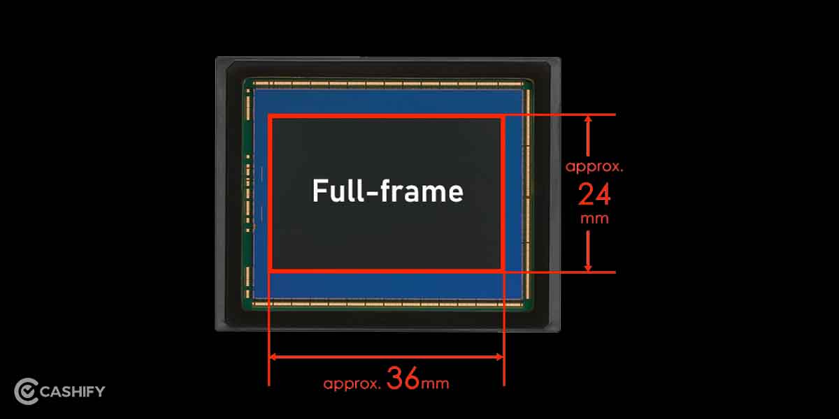 DSLR Camera Buying Guide | Cashify Cameras Blog