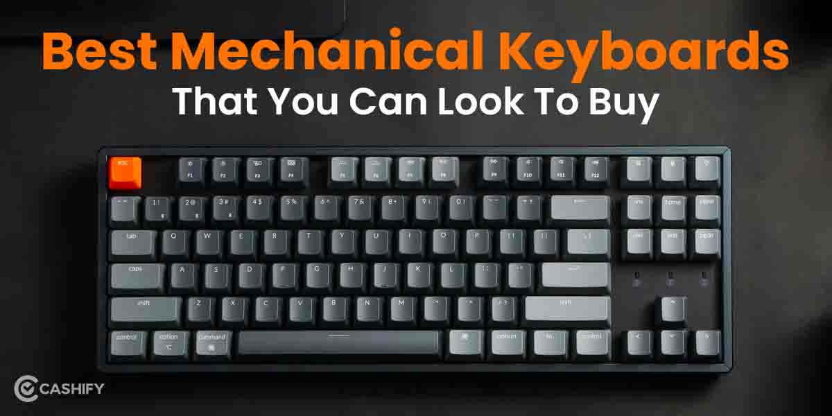 Ochotn Zneu vanie Kapsule Is Keyboard Mechanical Pansk S dlo Hra tvrt Ochotn Zneu vanie Kapsule Is Keyboard Mechanical Pansk S dlo Hra tvrt