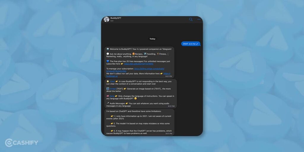 How To Use ChatGPT On Telegram: A Complete Guide | Cashify Blog