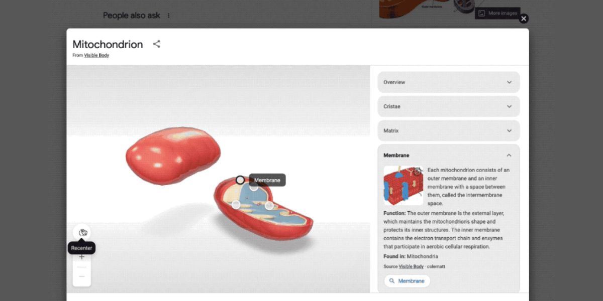 Google Search Brings Four New Educational Tools To Help Students ...